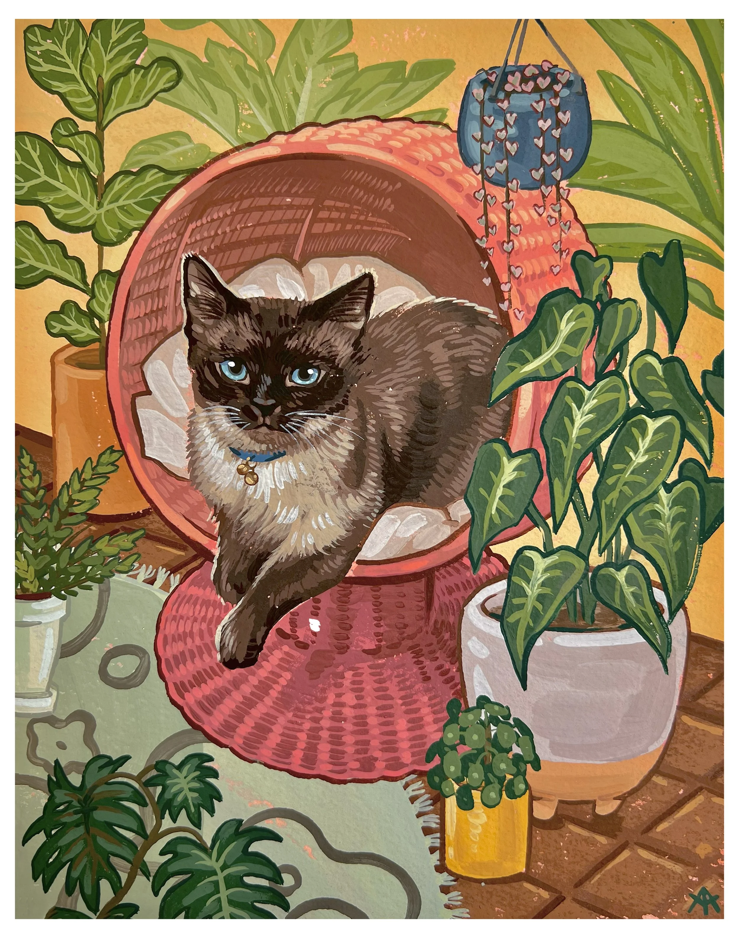 Commissioned Works — Amina Illustration