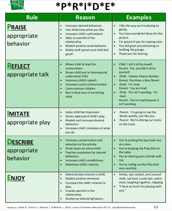 Joyful Parenting Tool: Playtime Skills to Make Parenting Fun Again ...