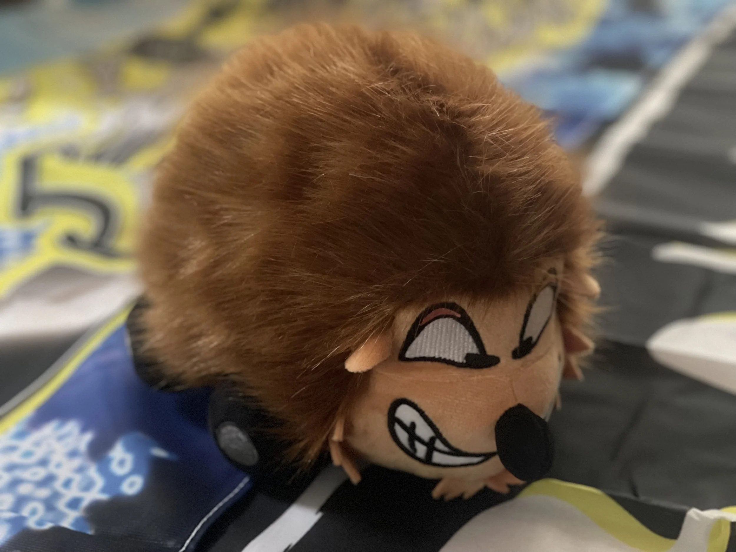 Shop — Thrash Racing