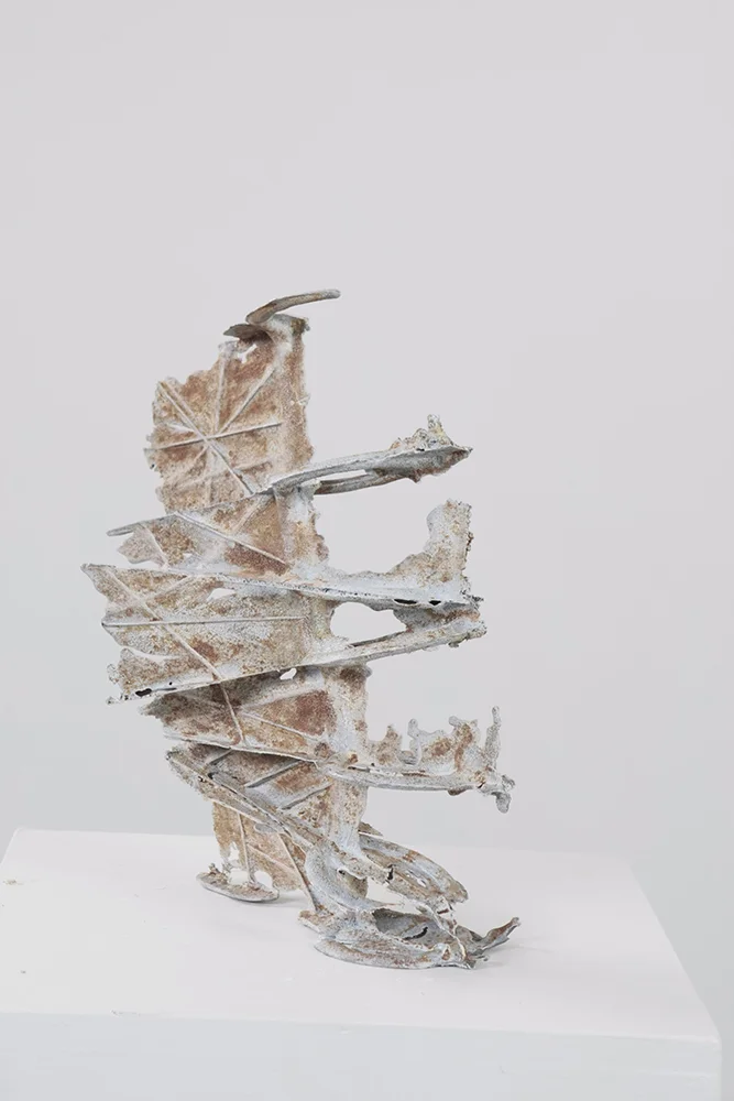 Biomechanical Evolution Series — Christyn Overstake