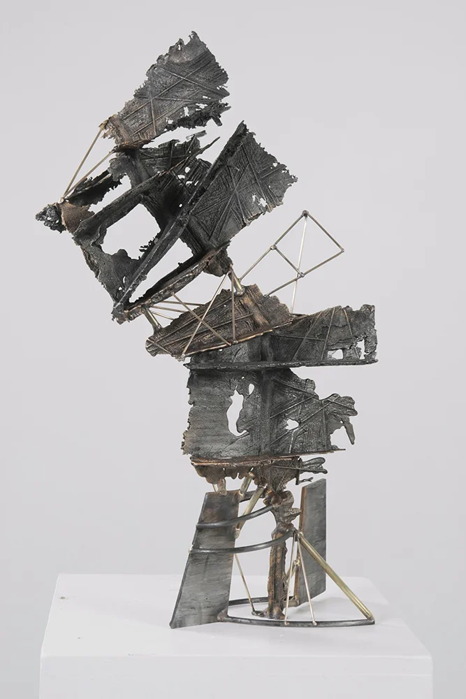 Biomechanical Evolution Series — Christyn Overstake