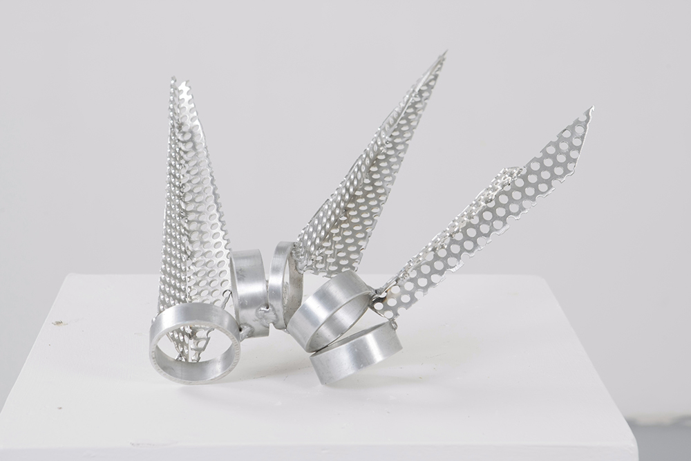 Biomechanical Evolution Series — Christyn Overstake