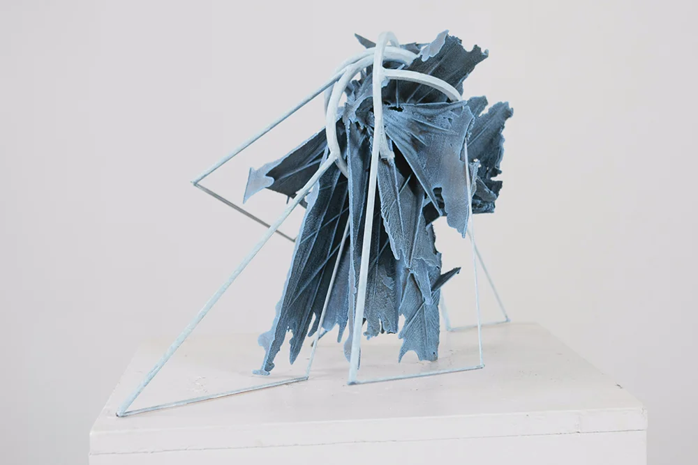 Biomechanical Evolution Series — Christyn Overstake