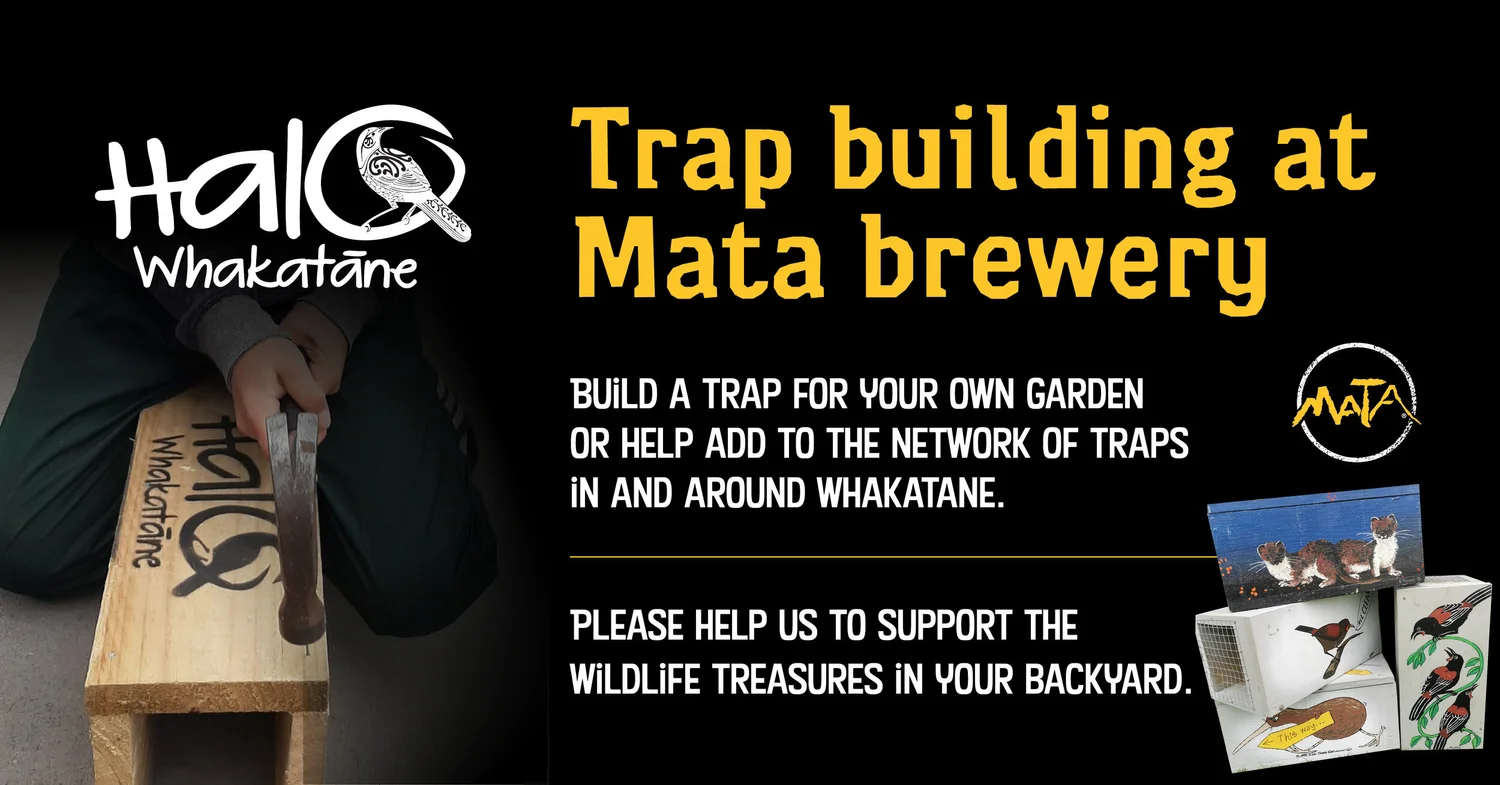 Trap Building Volunteer Day — HALO Whakatane | Creating an unfenced ...