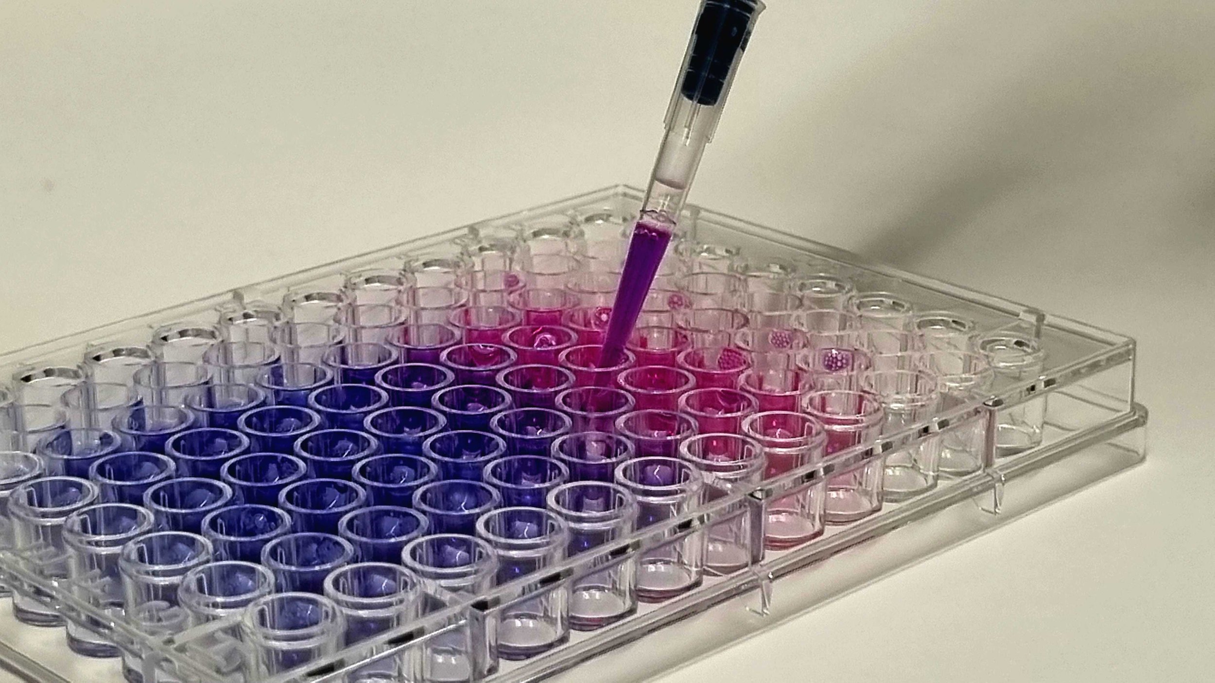 Research — Neely Lab