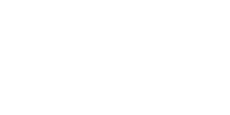 Flash Drives for Freedom