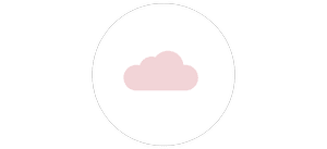 blushtan™ services — blushtan