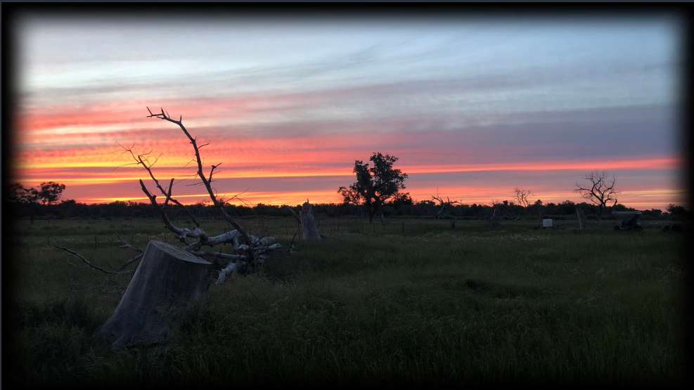 Z Bar Ranch — Turner Bison Exchange