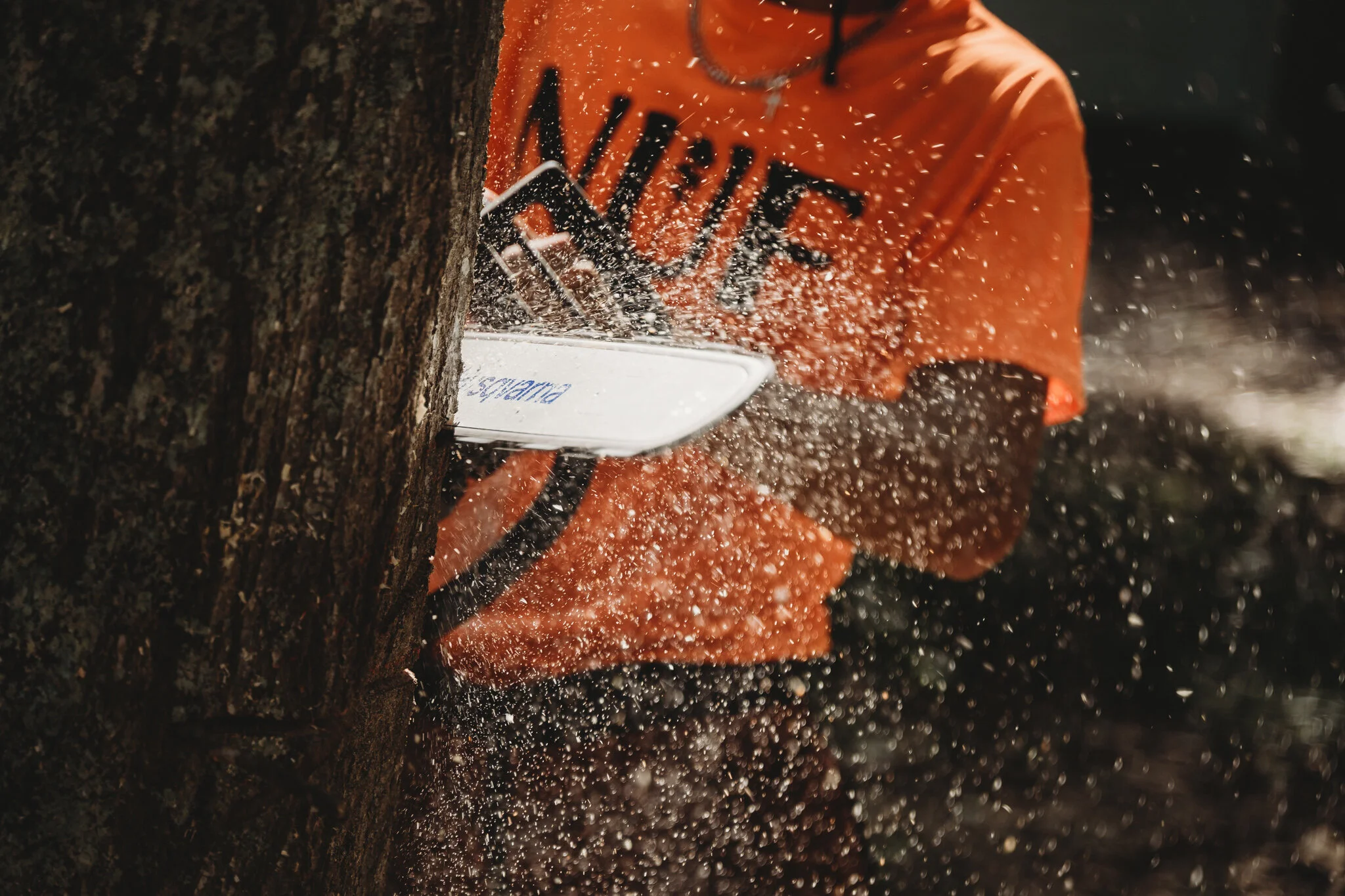 Tree Service — New Urban Forestry