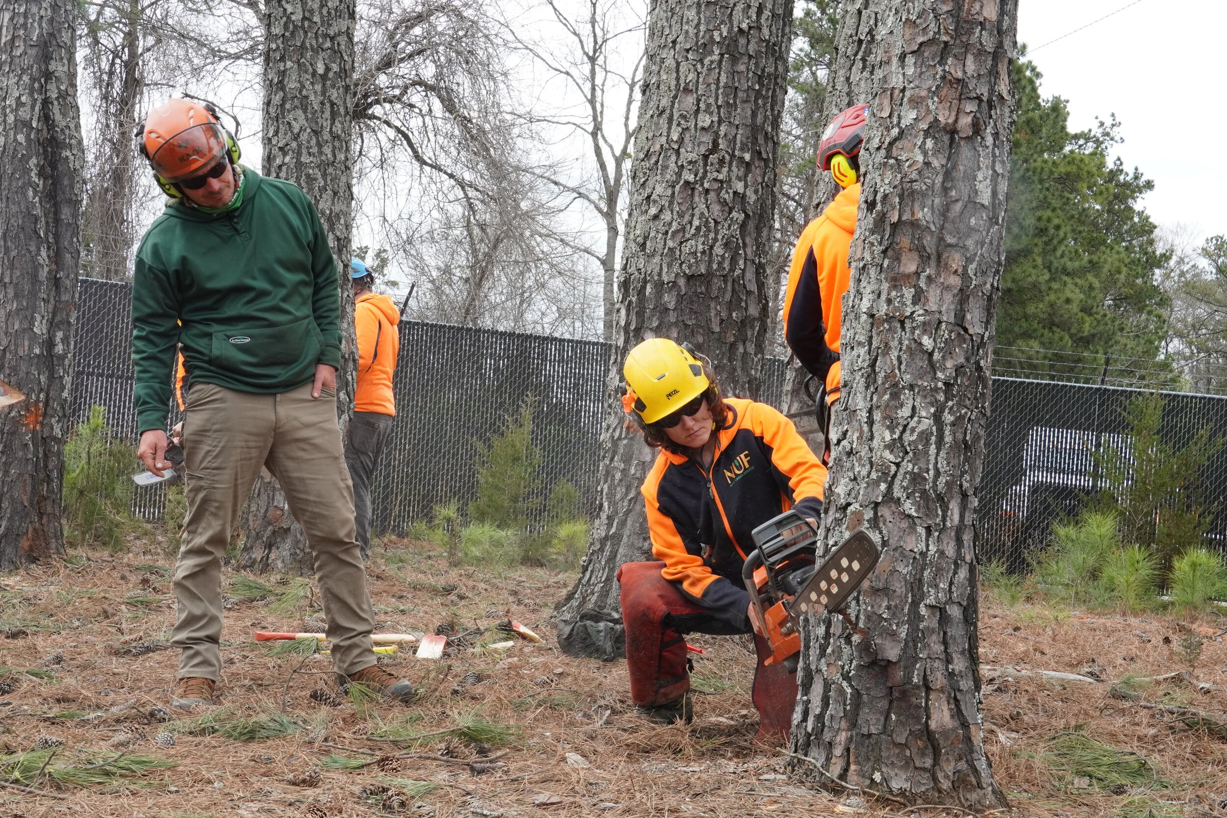 New Urban Forestry Gallery — New Urban Forestry