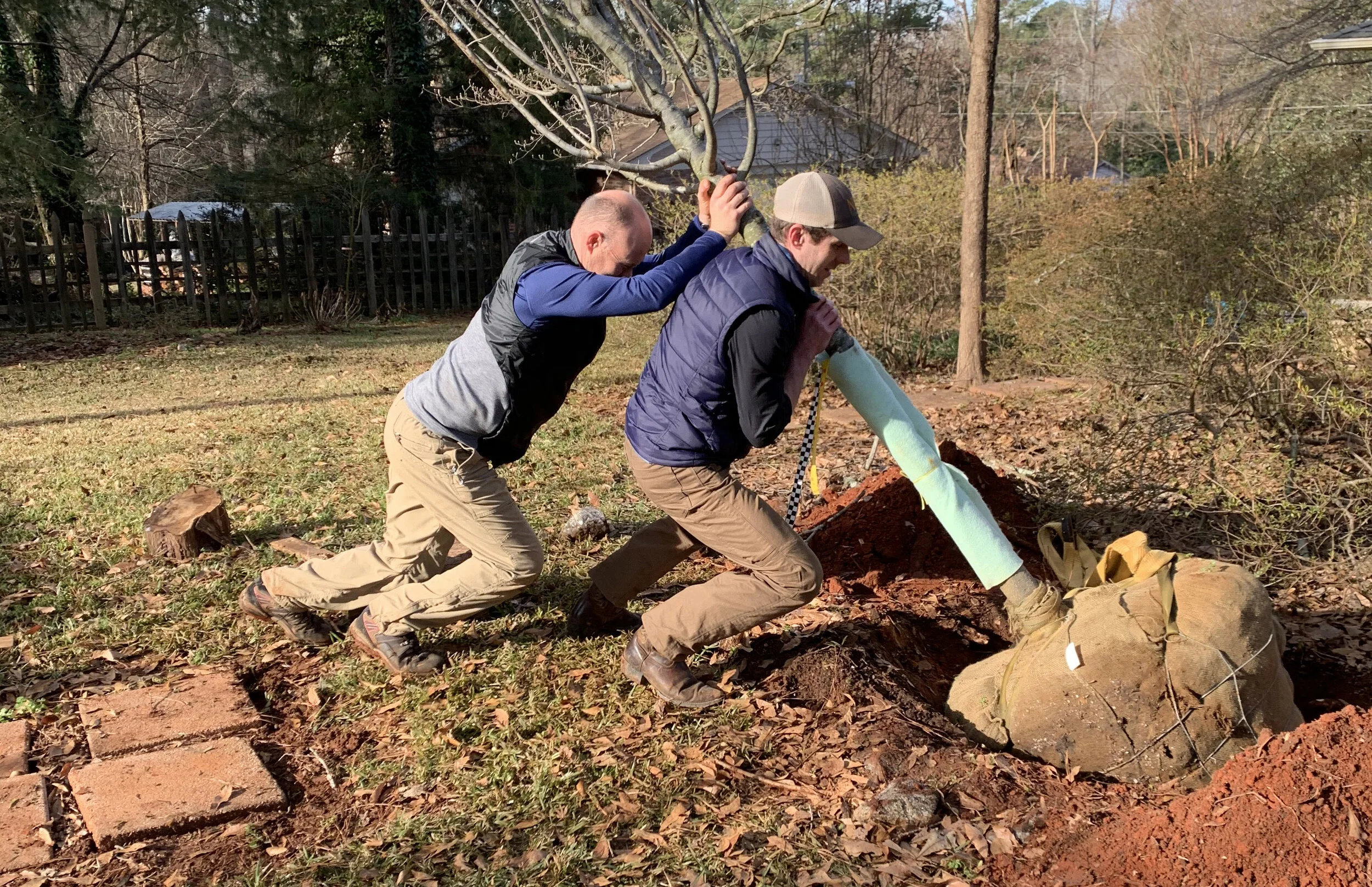 New Urban Forestry Gallery New Urban Forestry