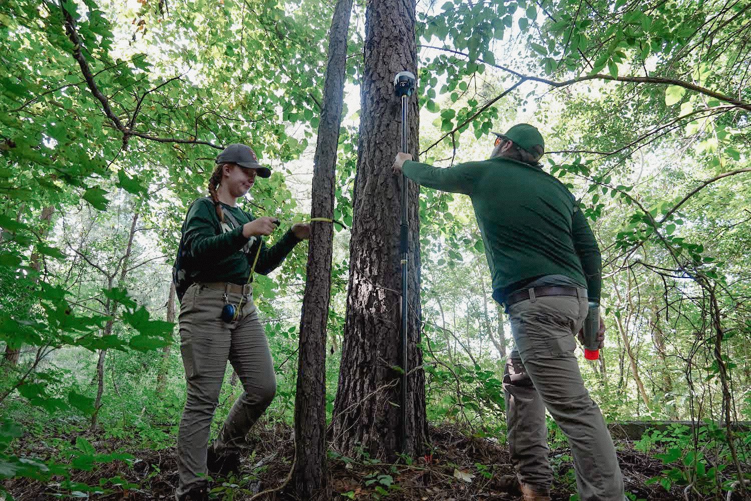Technical Services New Urban Forestry