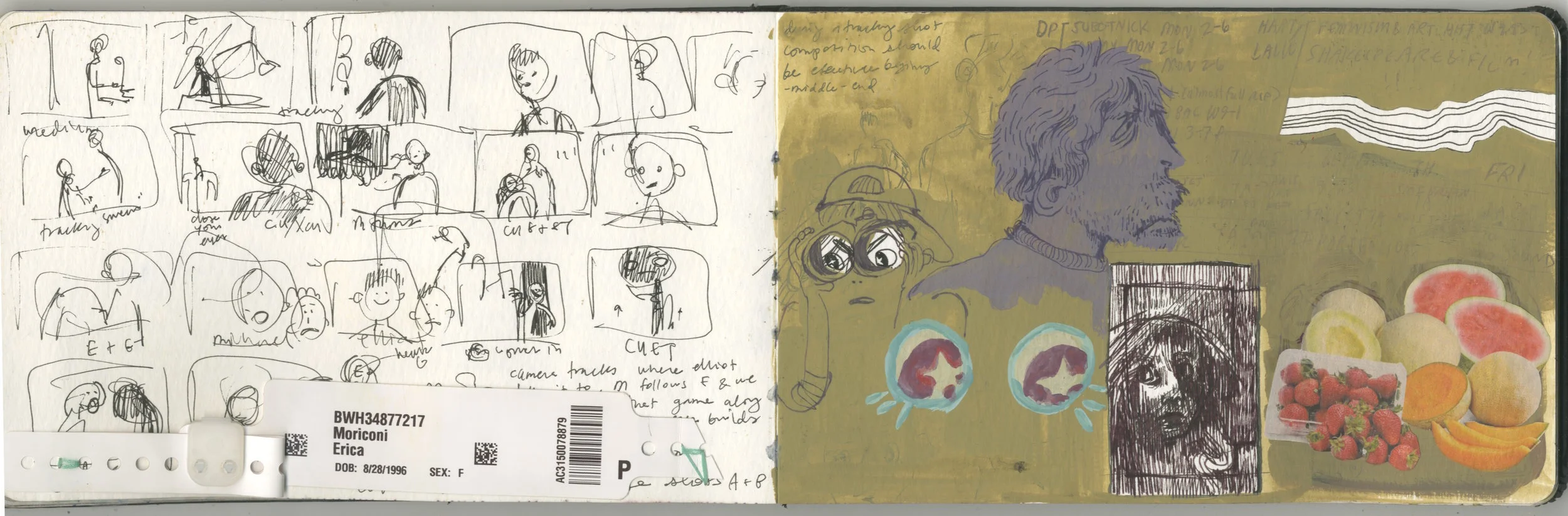 SKETCHBOOKS — ERICA MORICONI