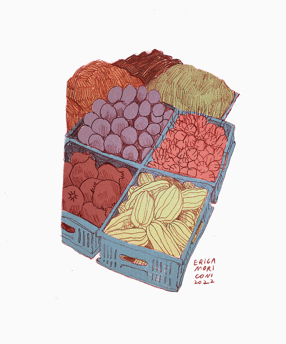 SKETCHBOOKS — ERICA MORICONI
