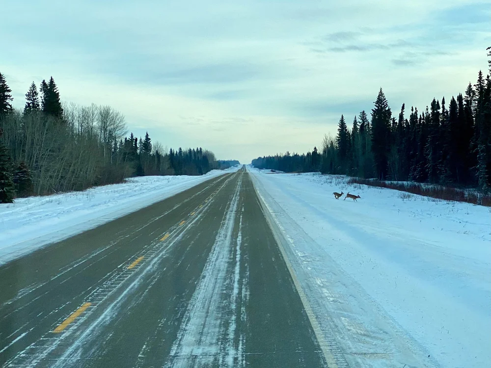 Winter Ice Road — Fostering Adventure