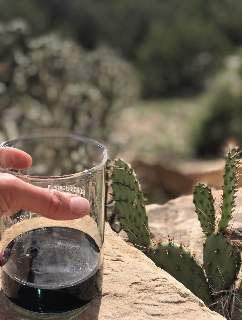 OUR STORY — ROOTFOOT