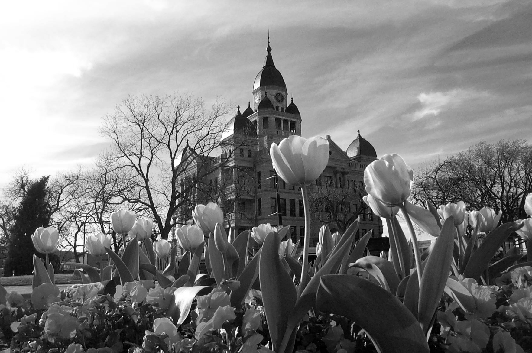 Denton Chamber of Commerce