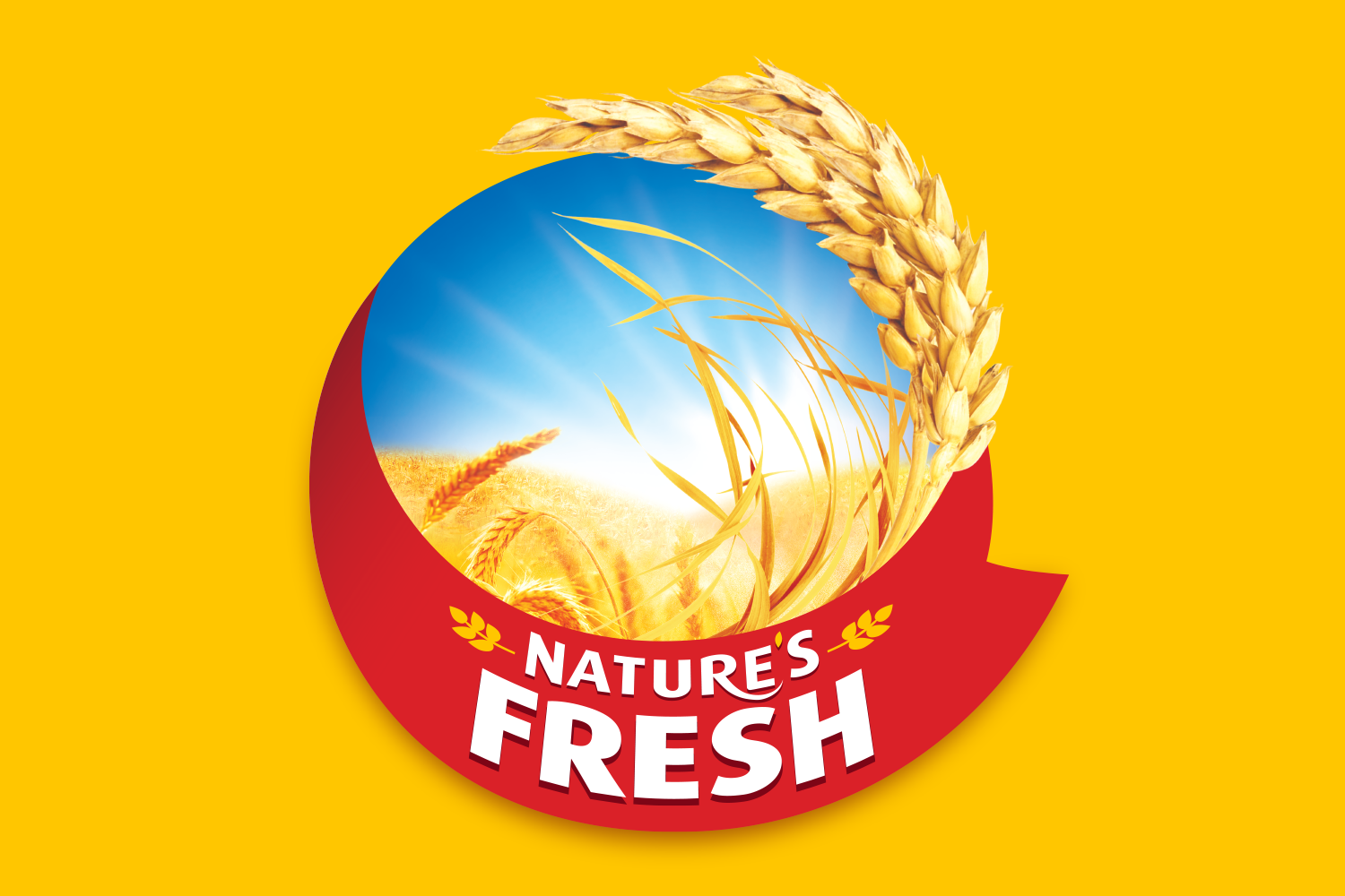 Unified Brands - Positive Change Through Insightful Visual Language