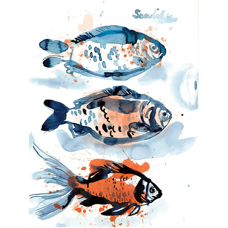 Animals — Eva Kelly Illustration