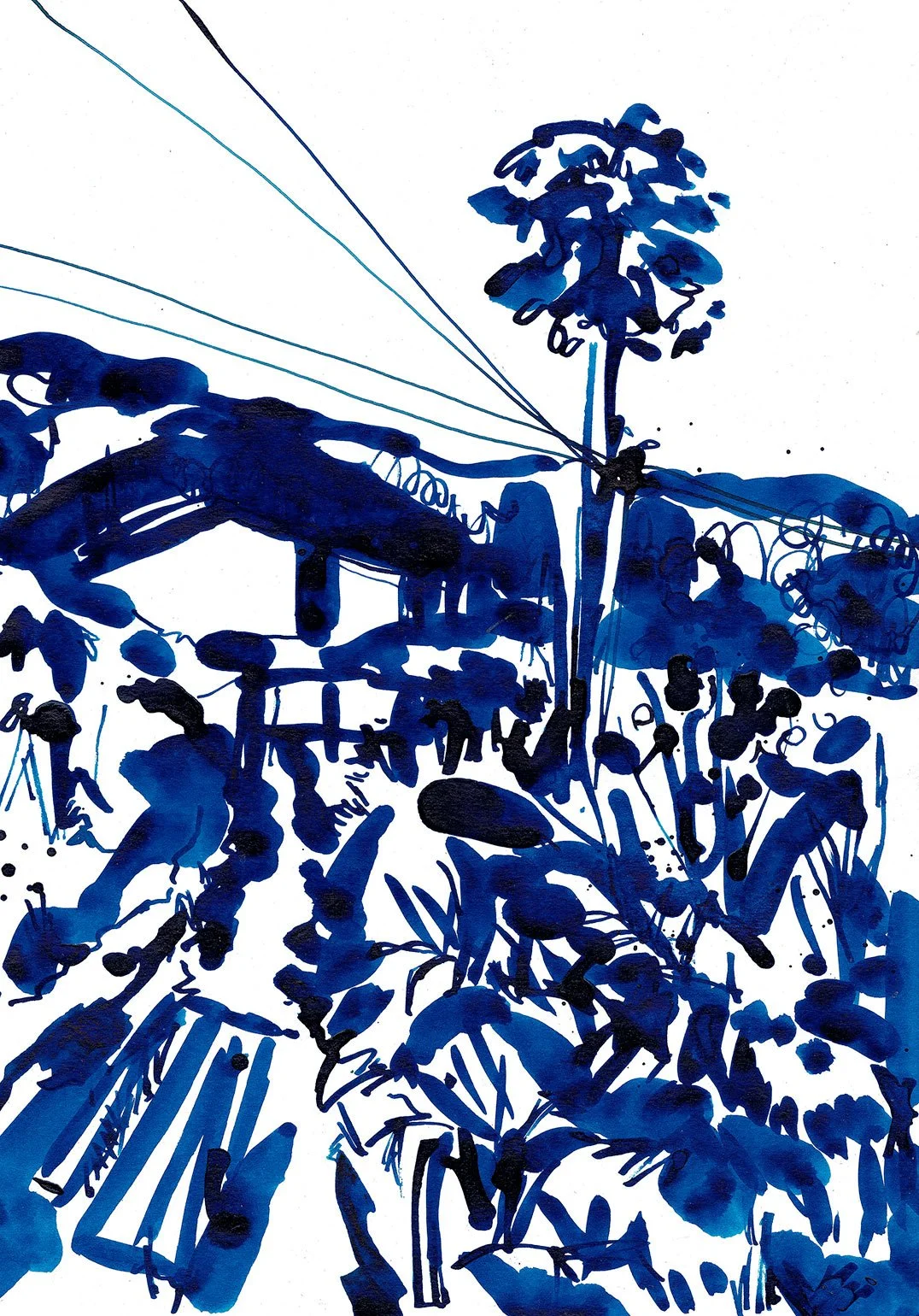 Eva Kelly Illustration