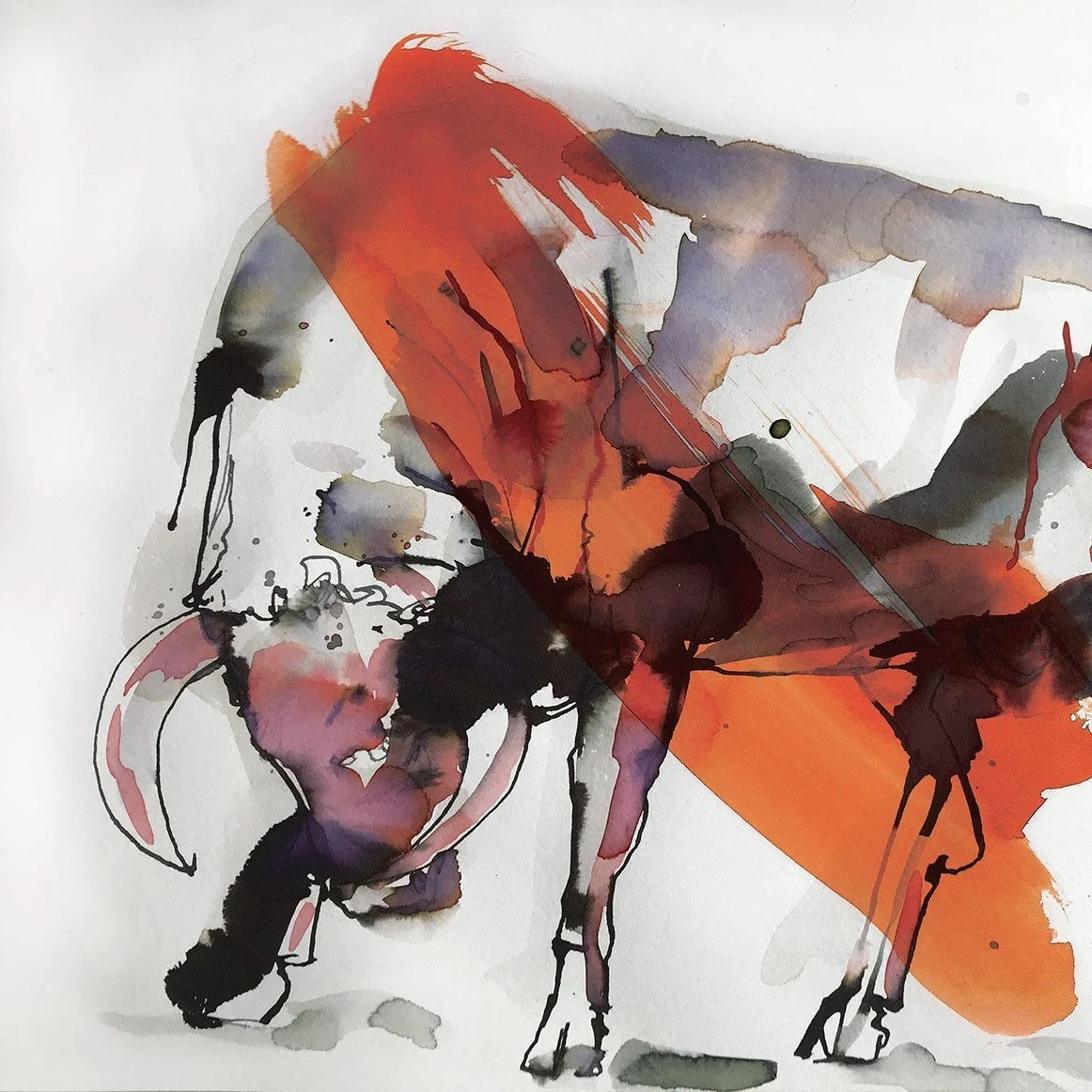 Eva Kelly Illustration