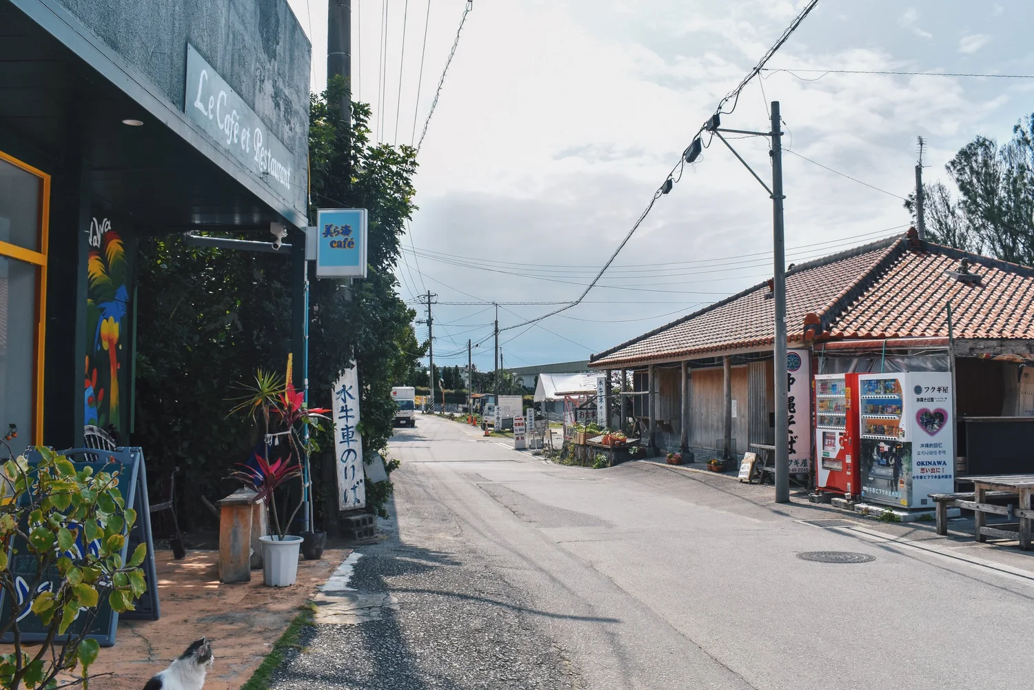 What It Was Like Driving in Okinawa: A Guide to Tolls, Parking, Rules ...