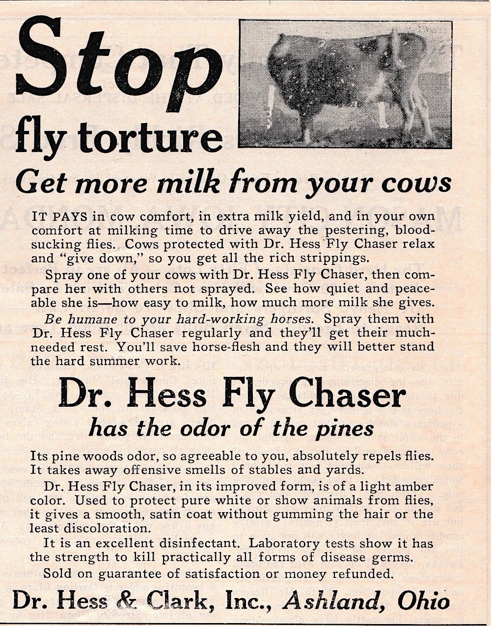 Pictures from the Past — Heritage Shorthorn Society