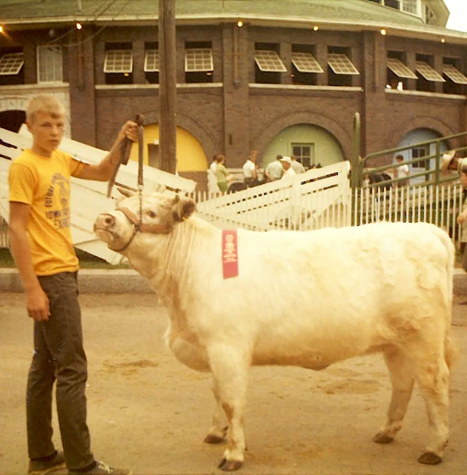 A Shorthorn Heritage (Part 2): Early Days on the Farm--The Herd Begins ...