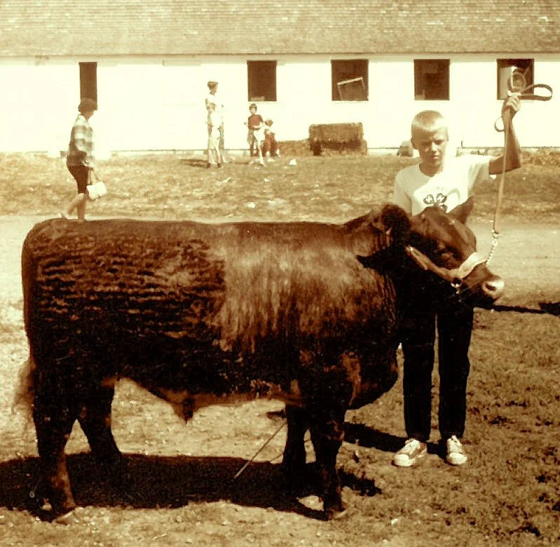 A Shorthorn Heritage (Part 1) — Heritage Shorthorn Society