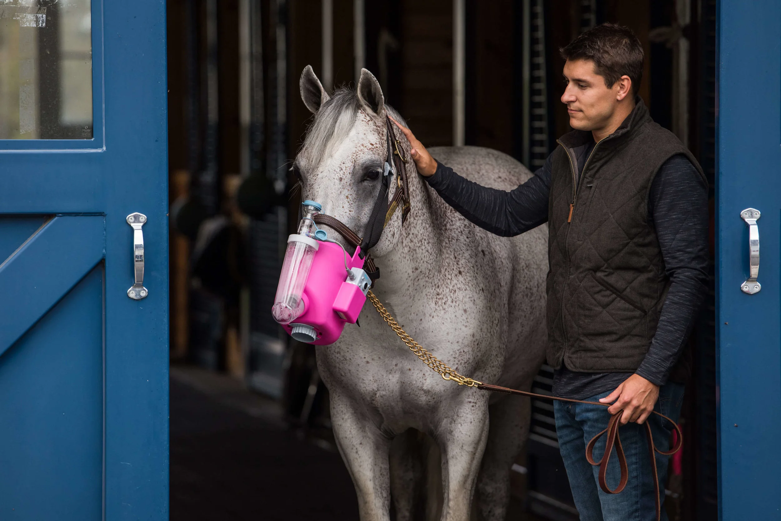 Gallery — Flexineb USA | Portable Equine Nebulizer