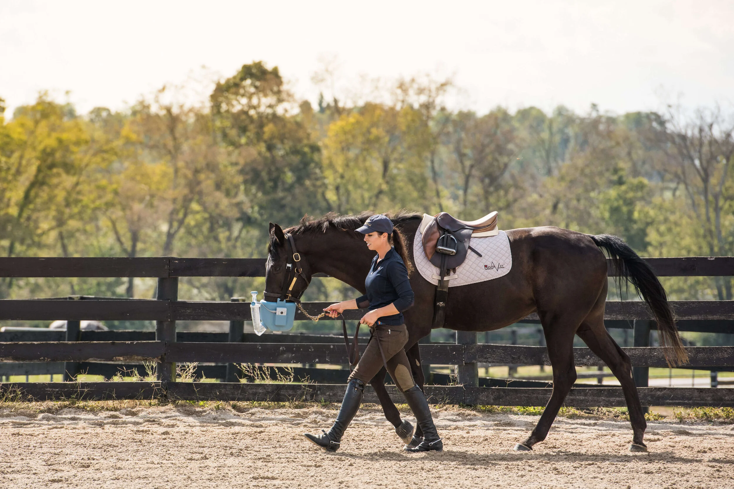 FAQS — Flexineb USA | Portable Equine Nebulizer