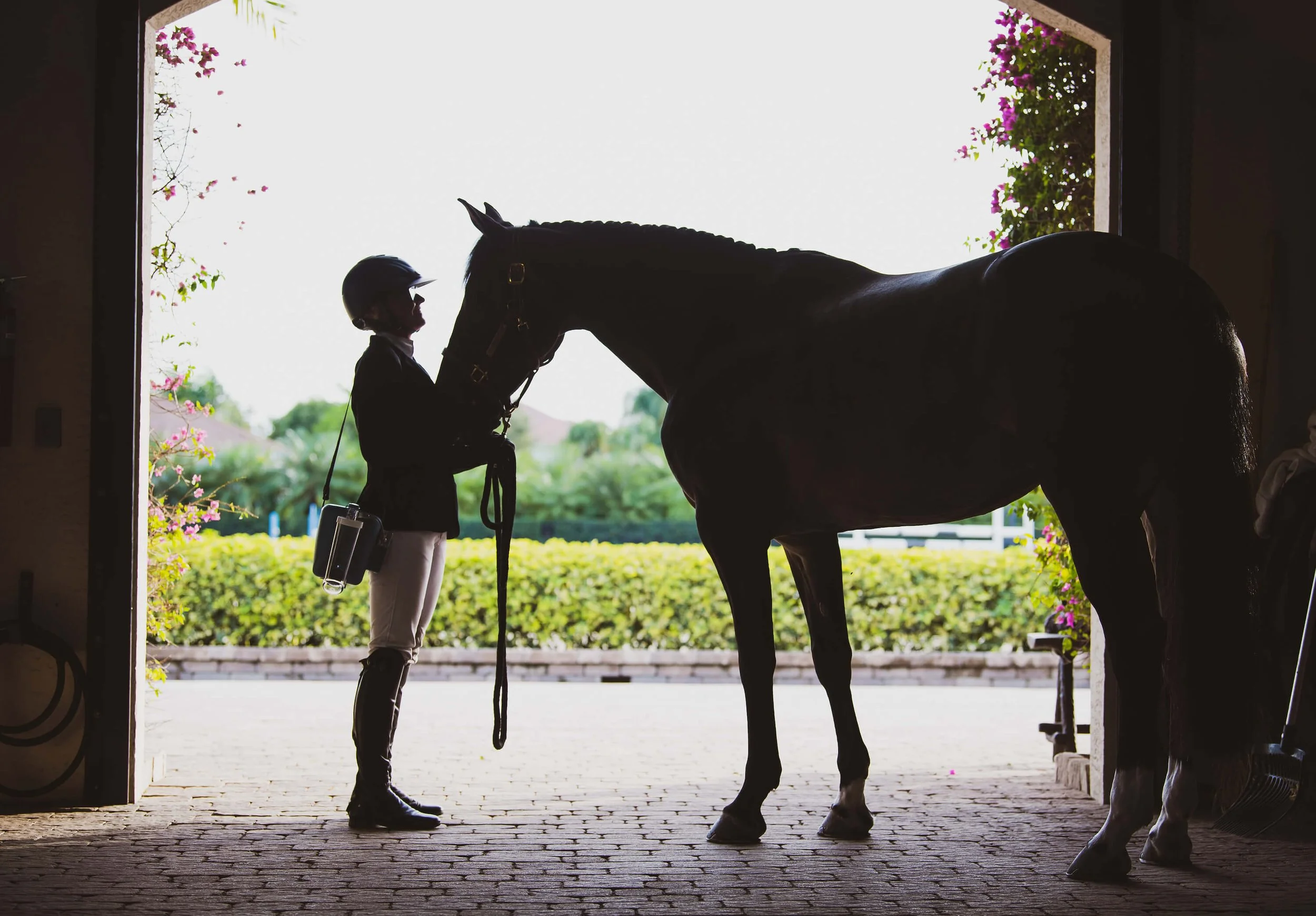 About - Our Company — Flexineb of the Americas | Portable Equine Nebulizer