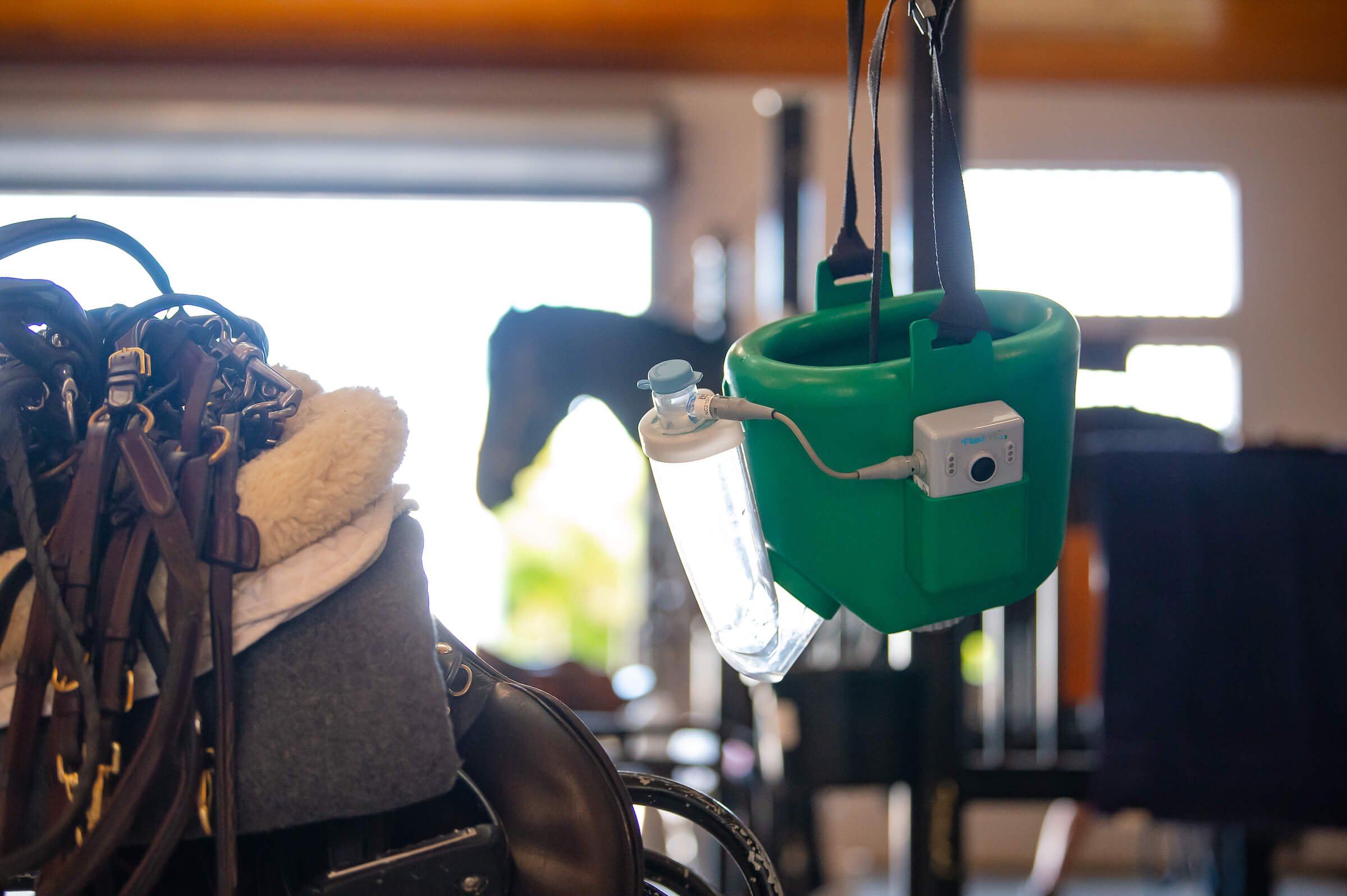 Gallery — Flexineb USA | Portable Equine Nebulizer