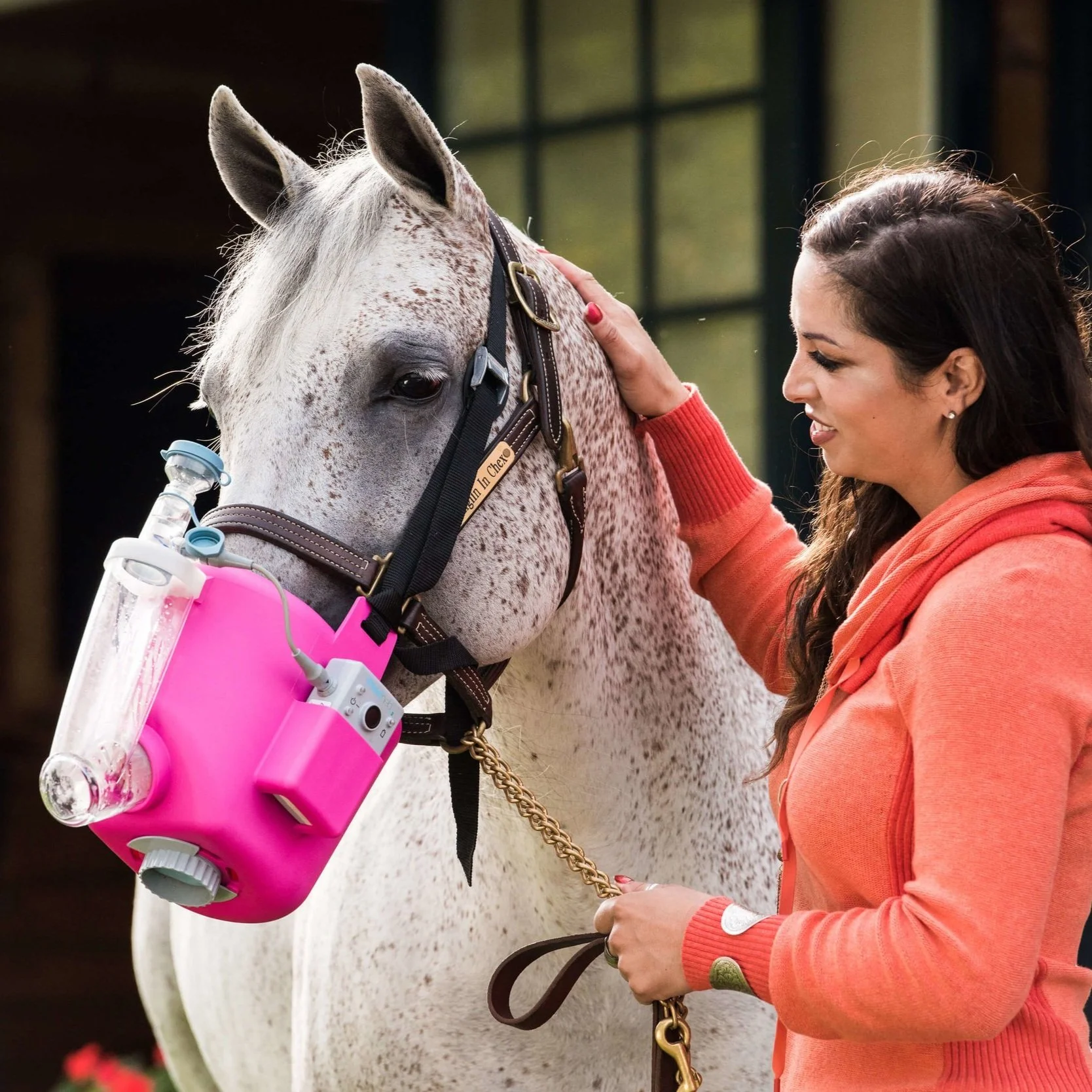 About - Our Company — Flexineb USA | Portable Equine Nebulizer