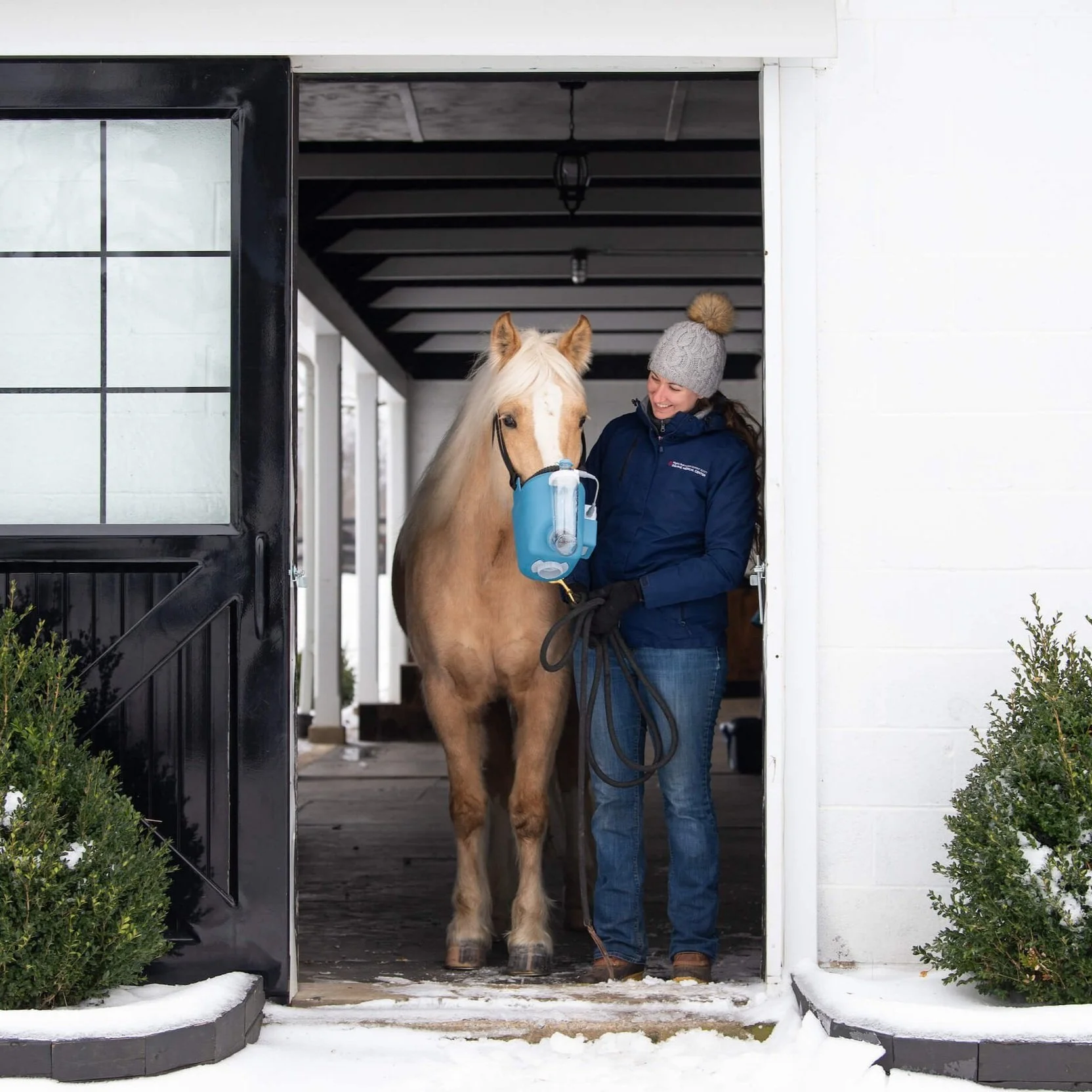 Flexineb USA | Portable Equine Nebulizer