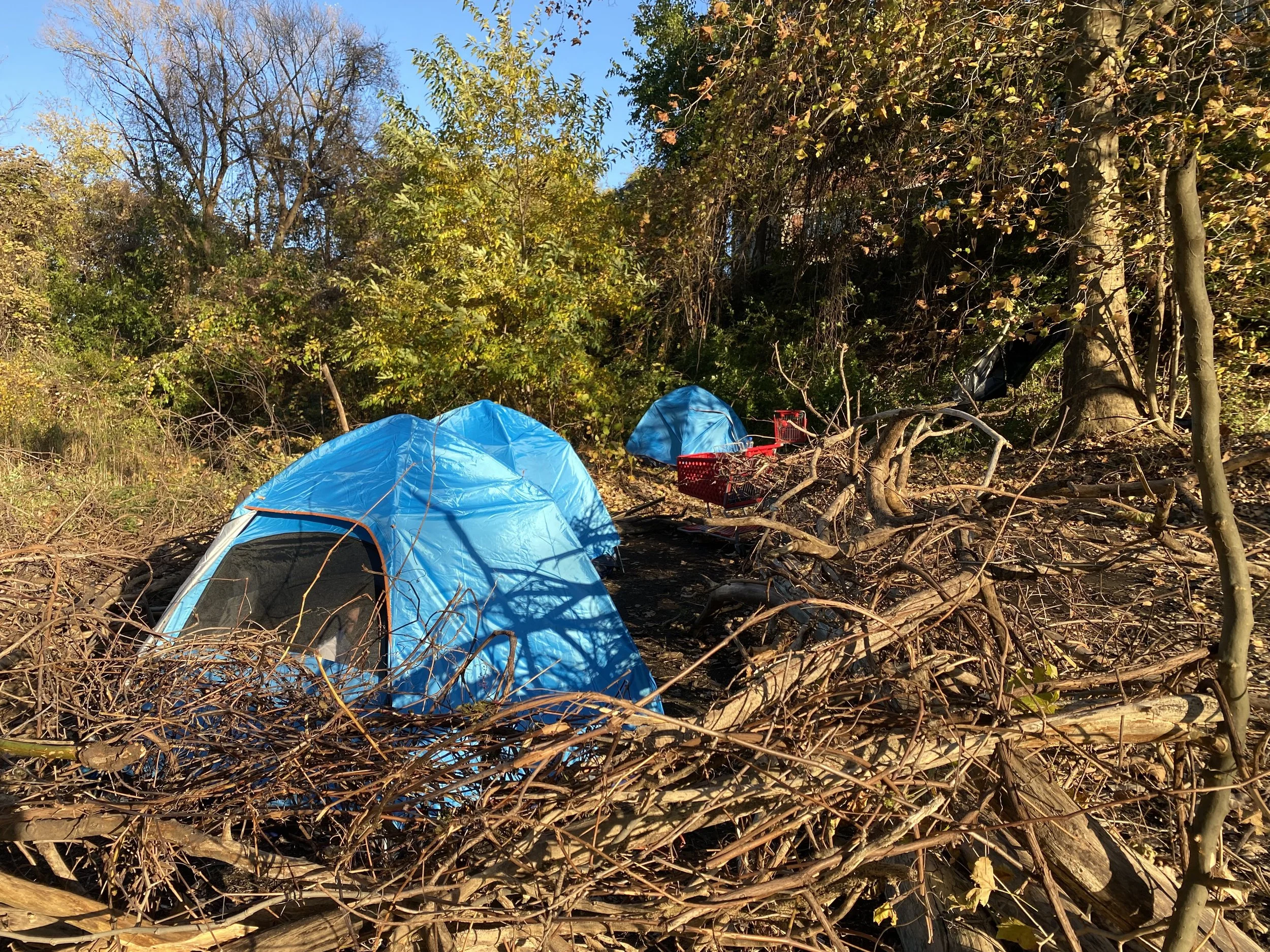 What to Do If I Become Homeless? — Northeast Ohio Coalition for the ...