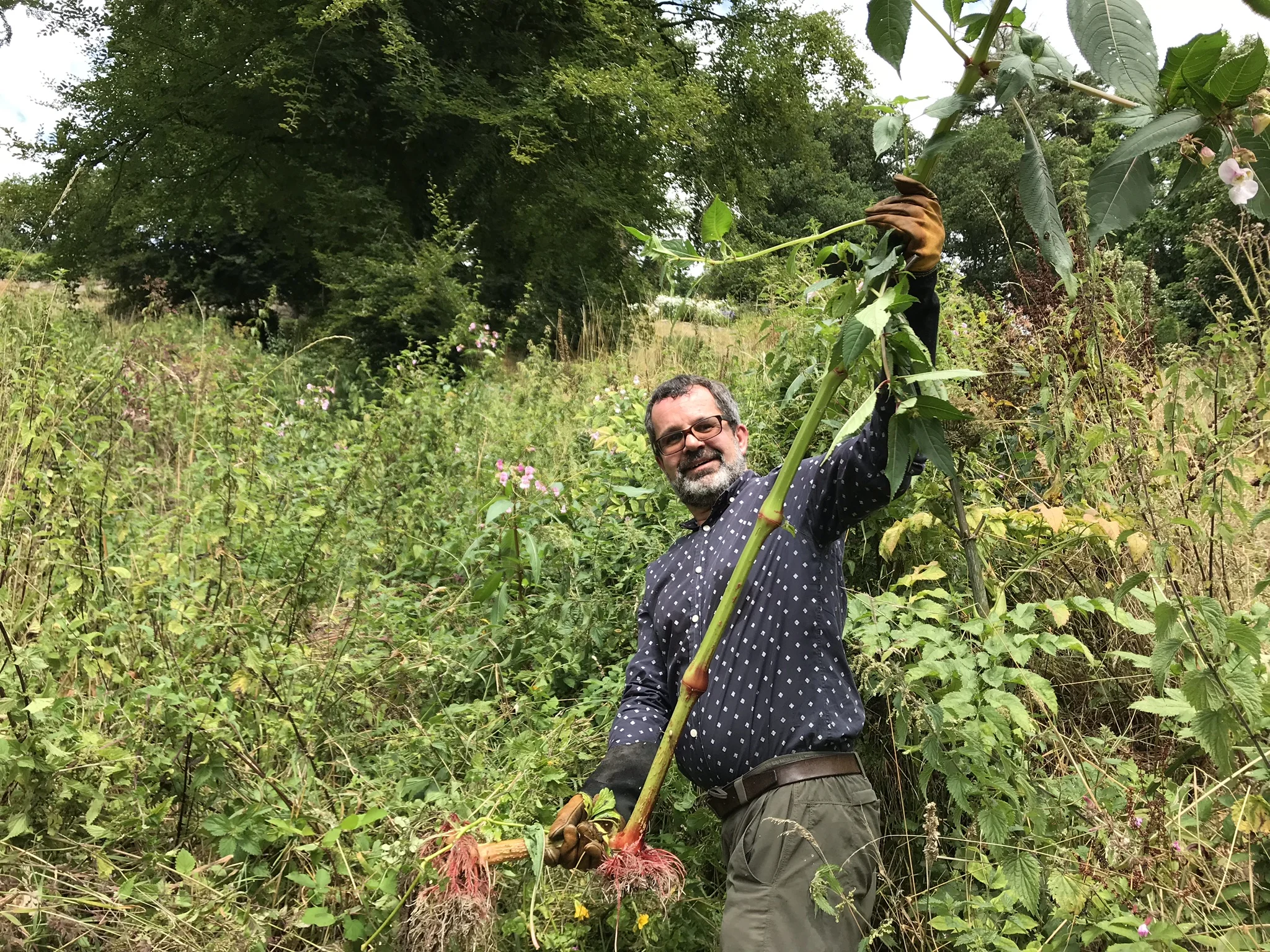 The War on Himalayan Balsam — Edge of the moor