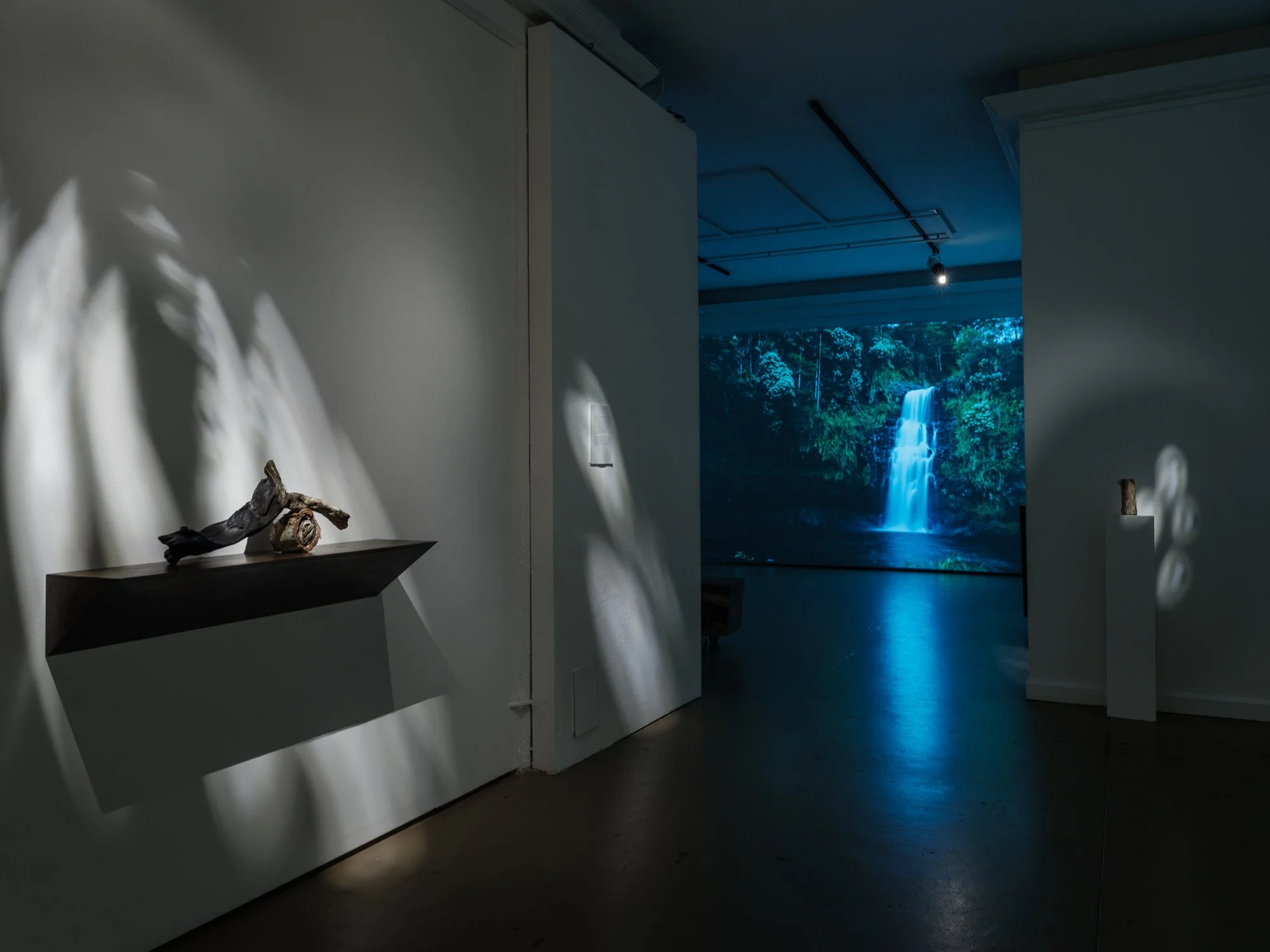 Whorl — Jacqueline Rush Lee