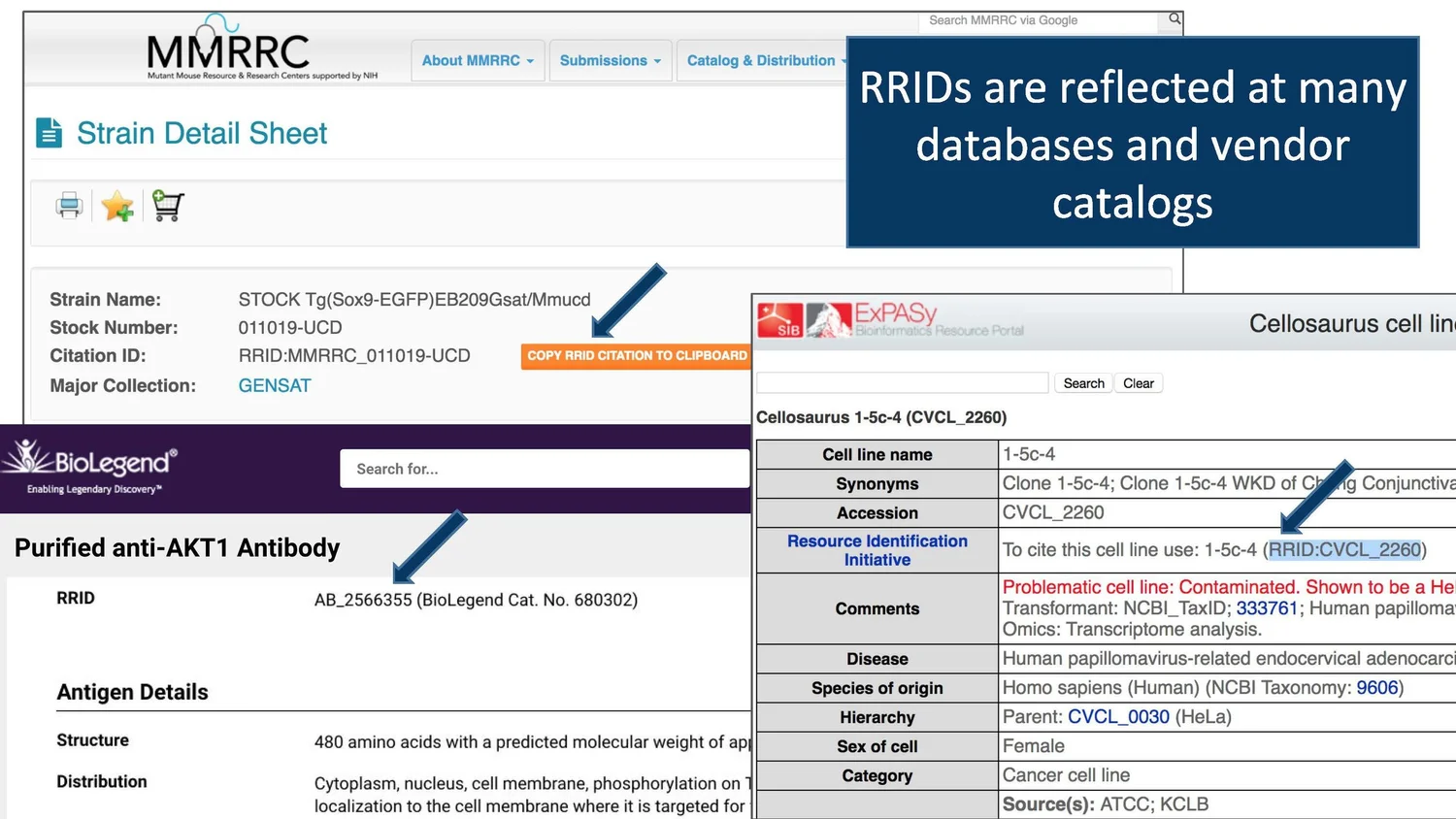Reagent Providers — Research Resource Identifier