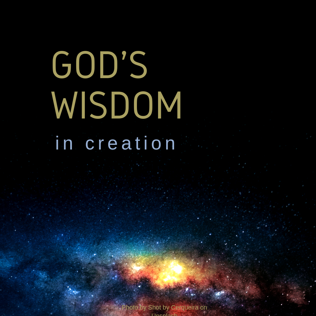 God's Wisdom in Creation — Living Hope Fellowship