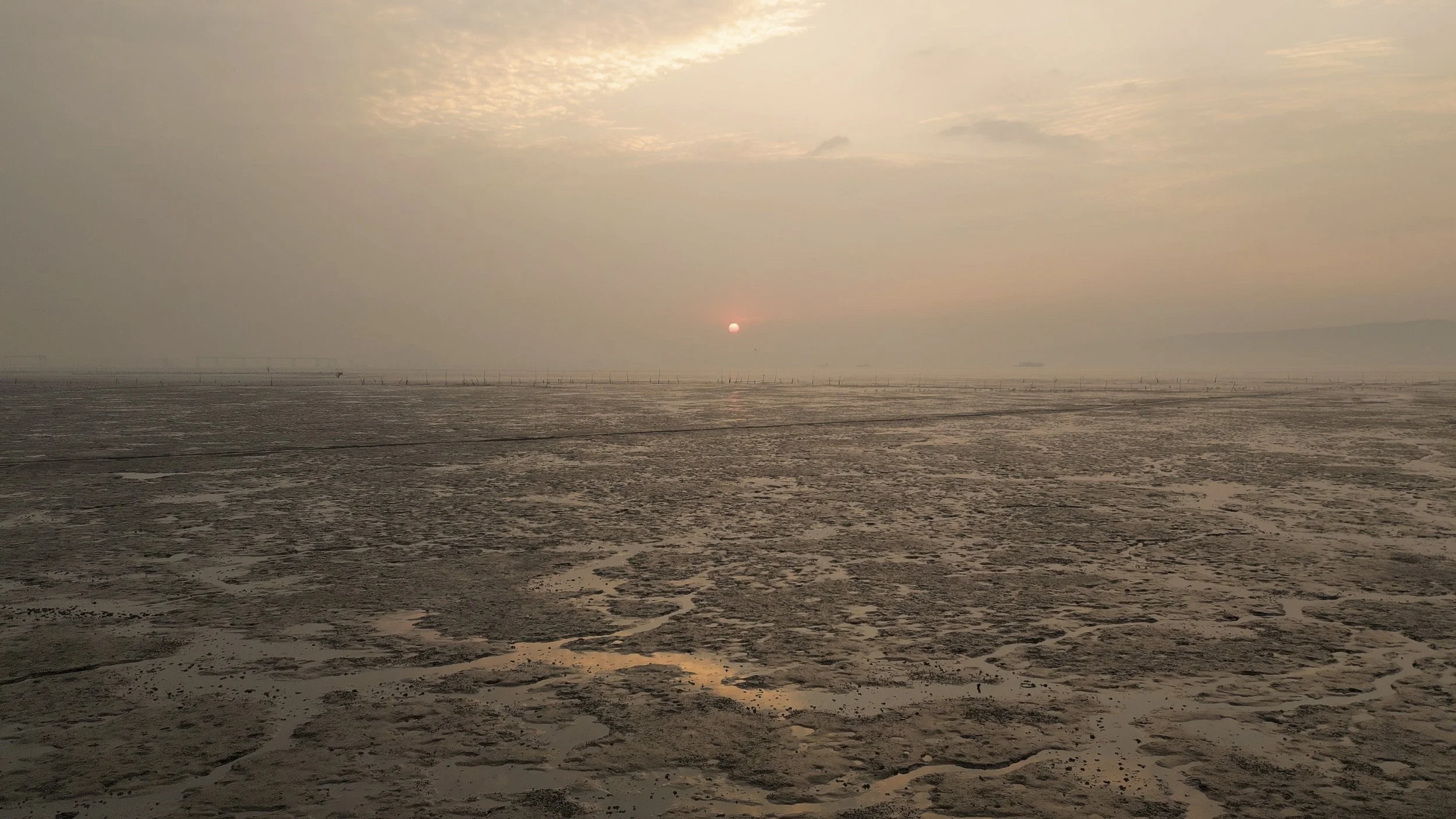 From Where Did This Paradise Spring? | Based Upon