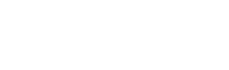 Vision Innovation Partners