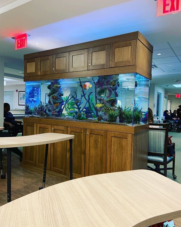 Custom Fish Tanks