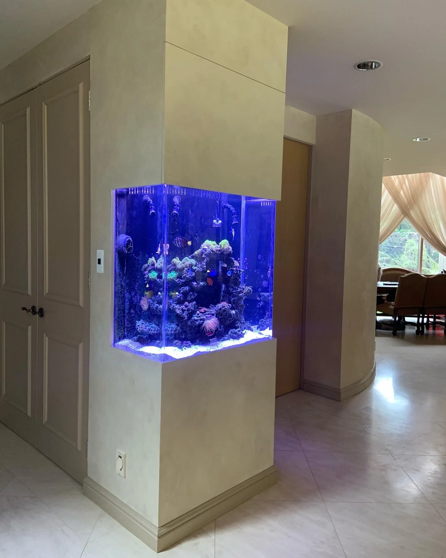 Saltwater Aquarium In Wall