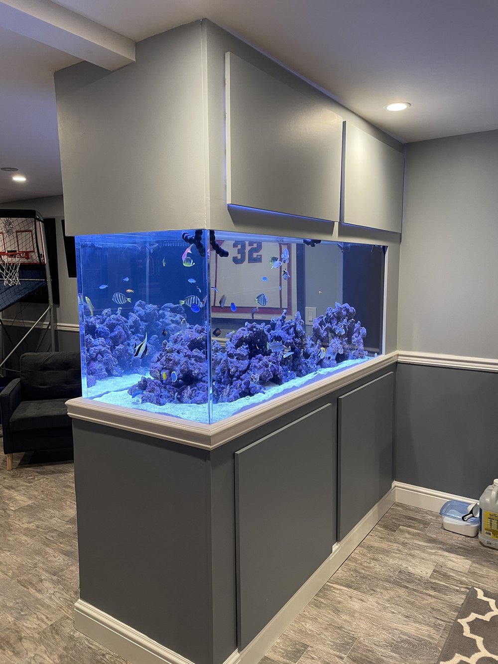 Saltwater Aquarium In Wall