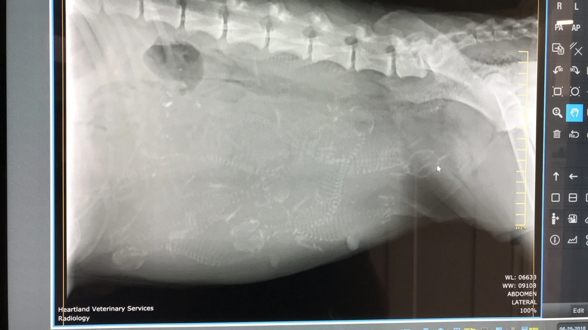 Laboratory + Diagnostics — Heartland Veterinary Services