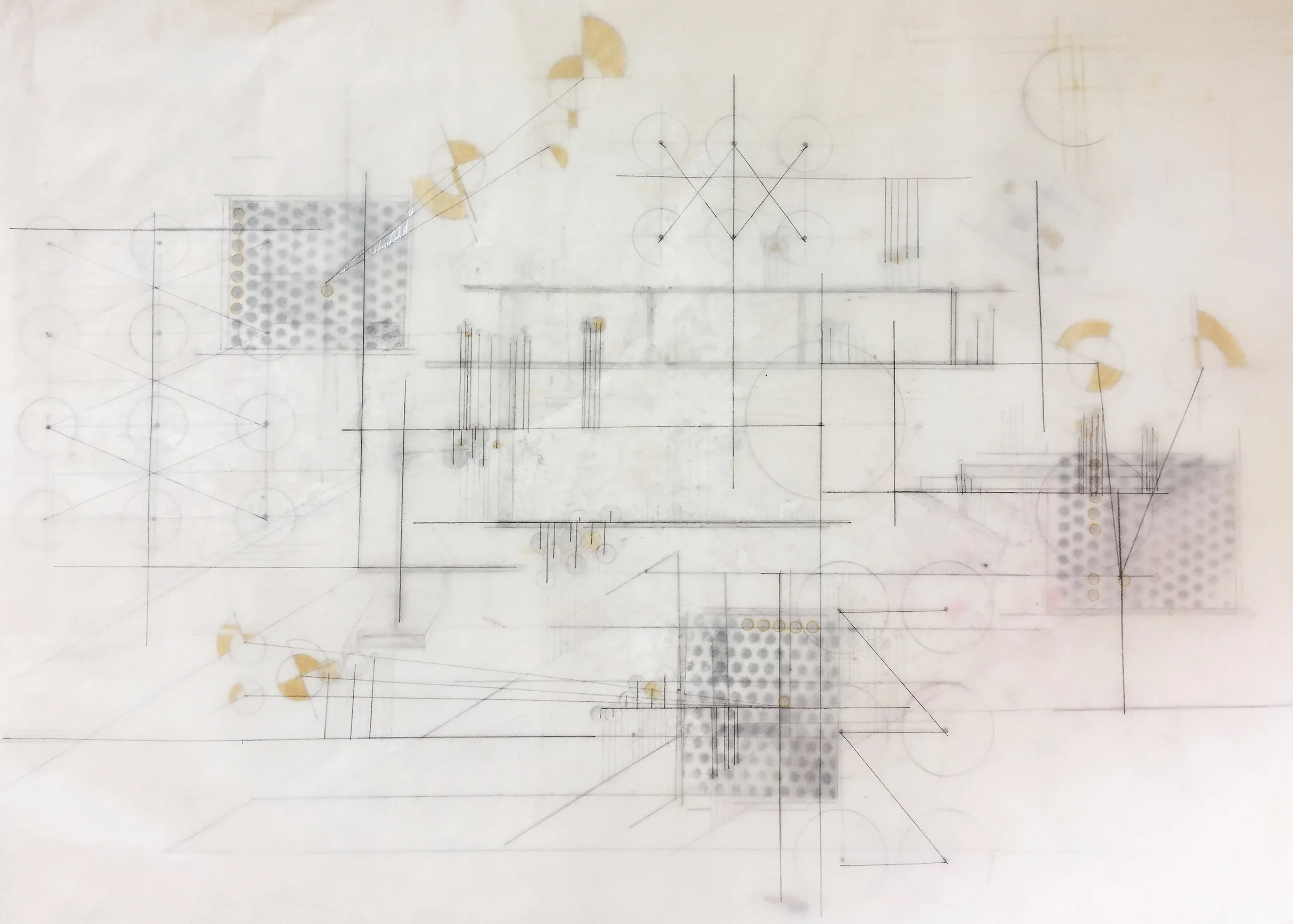 Kelly Knapp Portland Or