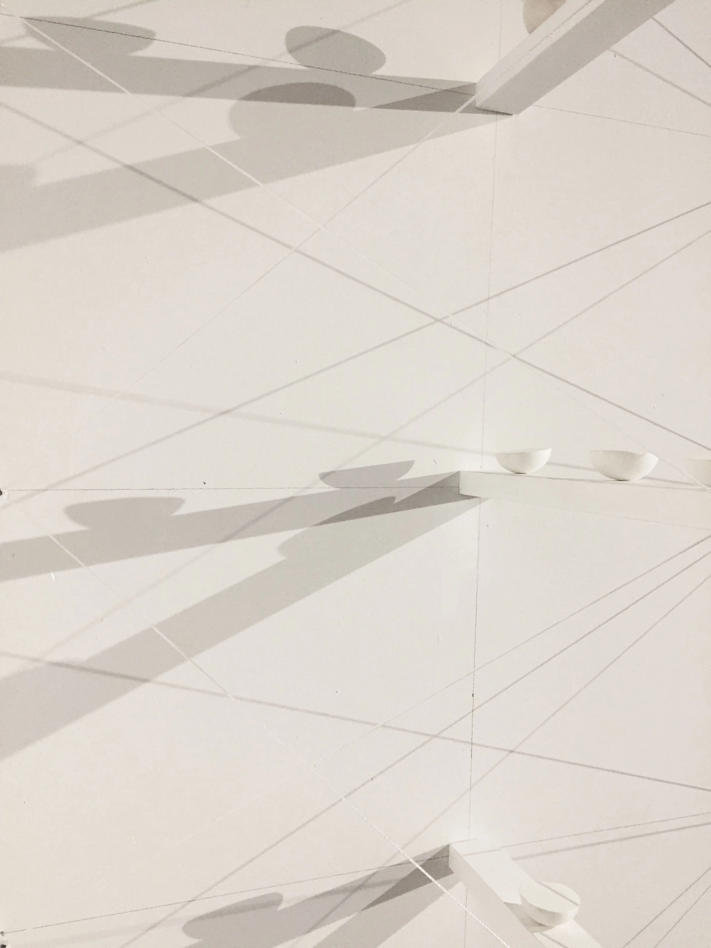 Kelly Knapp Portland Or