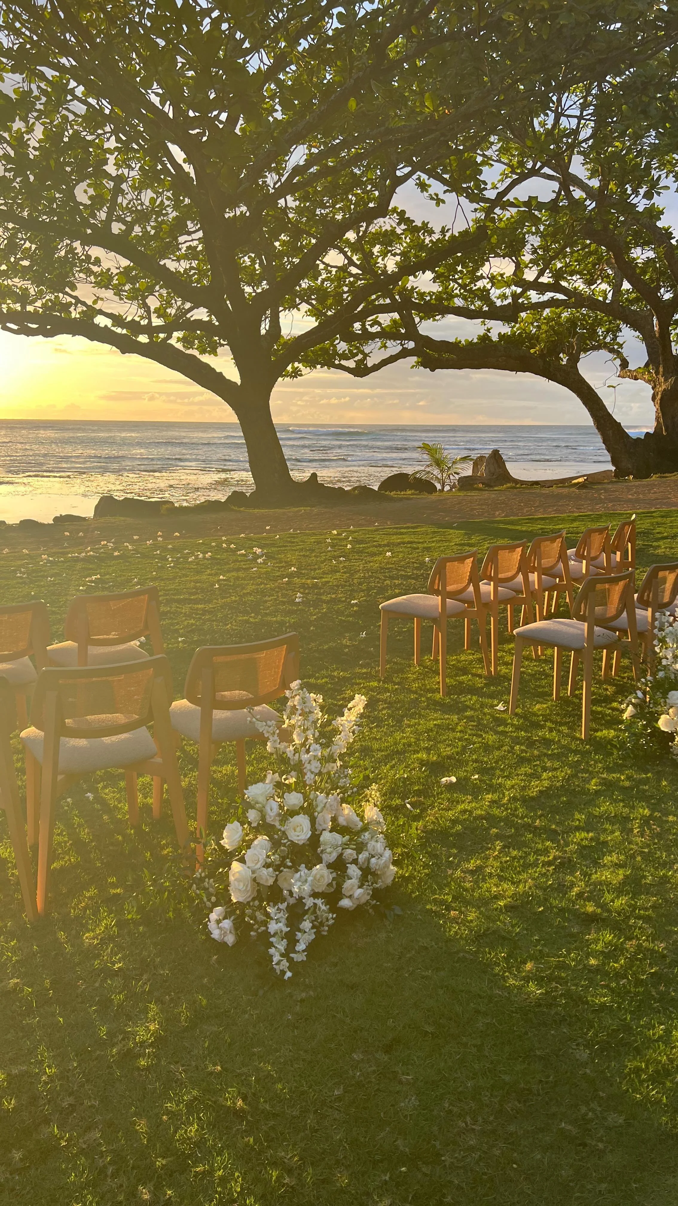 Blog — Bliss in Bloom