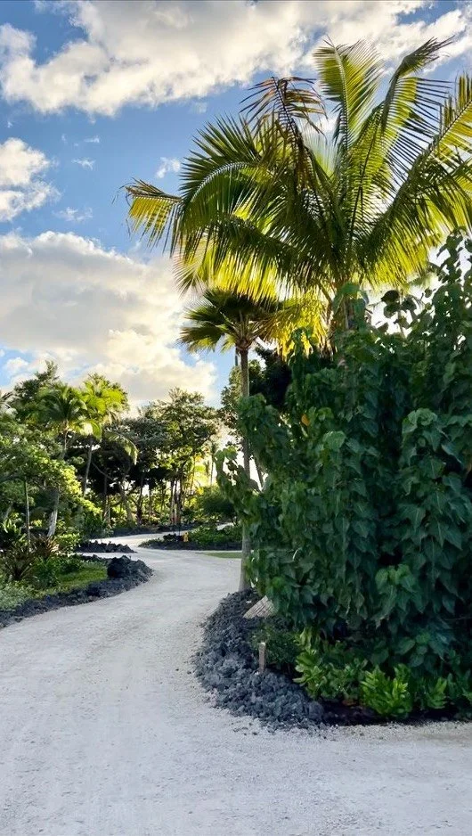 Blog — Bliss in Bloom